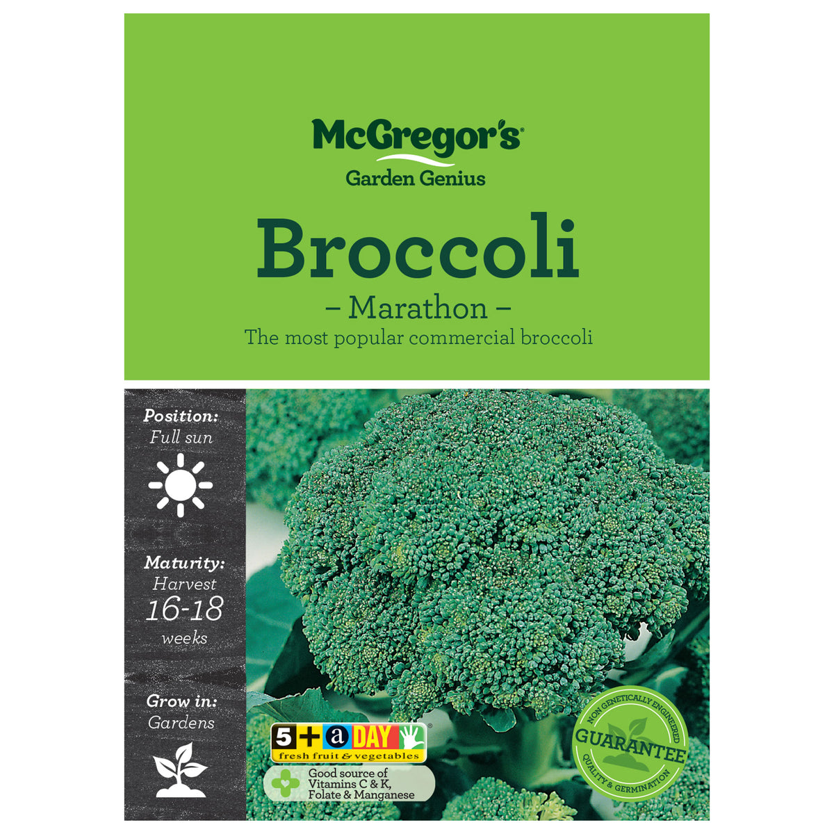McGregor's Broccoli Marathon Hybrid Vegetable Seed – Backyard Living